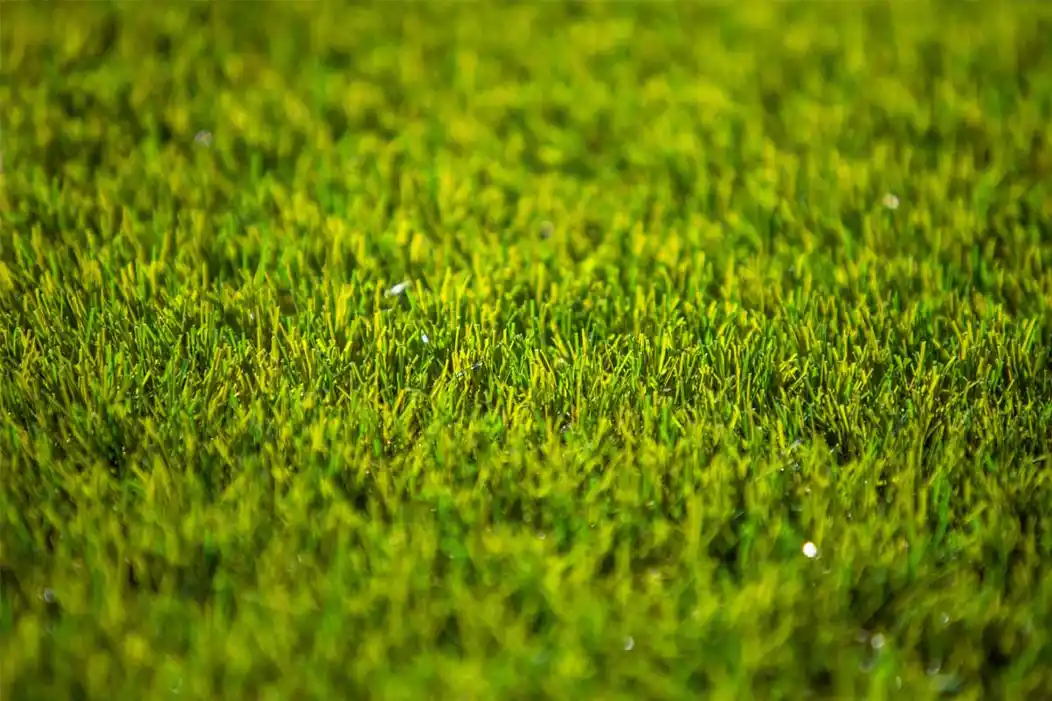 Rome 40mm Thick Artificial Grass (4m wide)